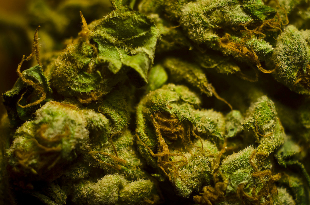 What is Kief? - AZ MMJ Guide